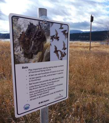 City of Cranbrook - Rocky Mountain Naturalists Unveil New Information ...